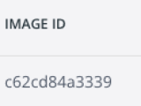 Build And Run From Dockerfile Ai Verify User Guide