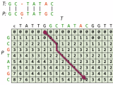 Algorithms For Approximate String Matching Alignment Kishore Kumar