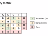 Algorithms For Approximate String Matching Alignment Kishore Kumar