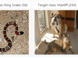 Deep Learning Final Project Classifier To Segmentation