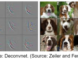 Deep Learning Final Project Classifier To Segmentation