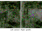 Deep Learning Final Project Classifier To Segmentation