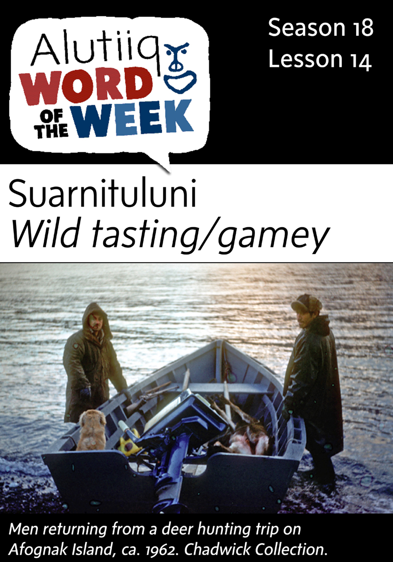 Wild Tasting Gamey Alutiiq Word Of The Week September 27th Alaska wild-tasting-gamey-alutiiq-word-of-the-week-september-27th-alaska