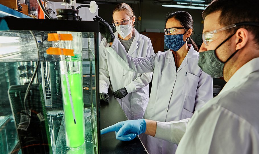 Optimizing Algae Biomaterial Production - algaeplanet.com