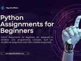 Python Assignments For Beginners A Comprehensive Guide