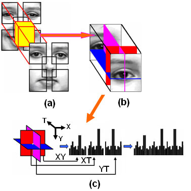 Facial Recognition: All you Need to Know - Algorithm-X Lab