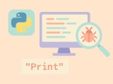 Python Debugging Basics With Print Free Source Code And Learn Coding