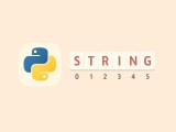 Python Strings As Arrays Practice Free Source Code And Learn Coding