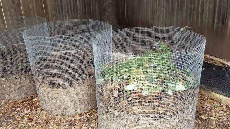 DIY Dry Leaf Composting- Leaf Litter Management - All About Belgaum