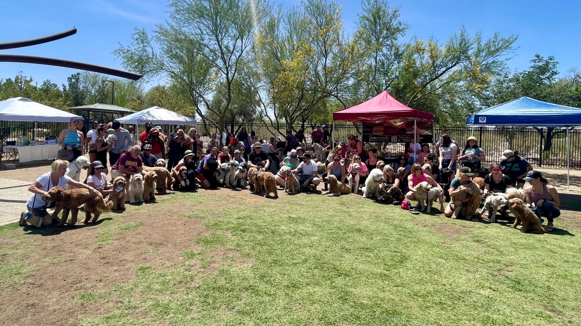 How To Start Your Own Doodle Group Or Doggie Troop - All About Spot