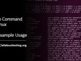 Sudo Su Command Examples At Patrick Oala Rarua Blog