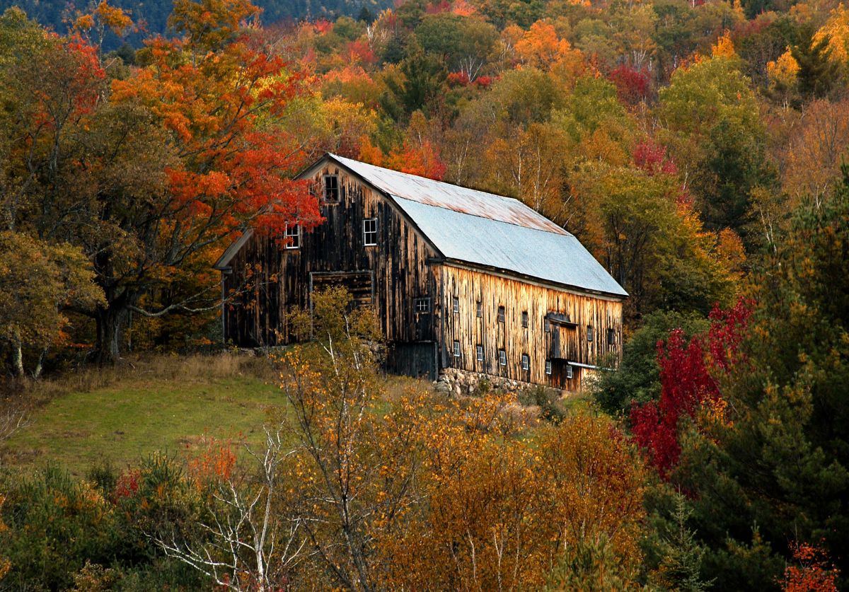Neil Ellis Photos: White Mountains Barn - AllanShowalter.com