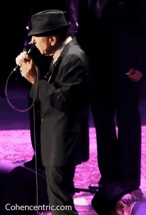 Leonard Cohen Animation: The Bercy Back-Flap - AllanShowalter.com