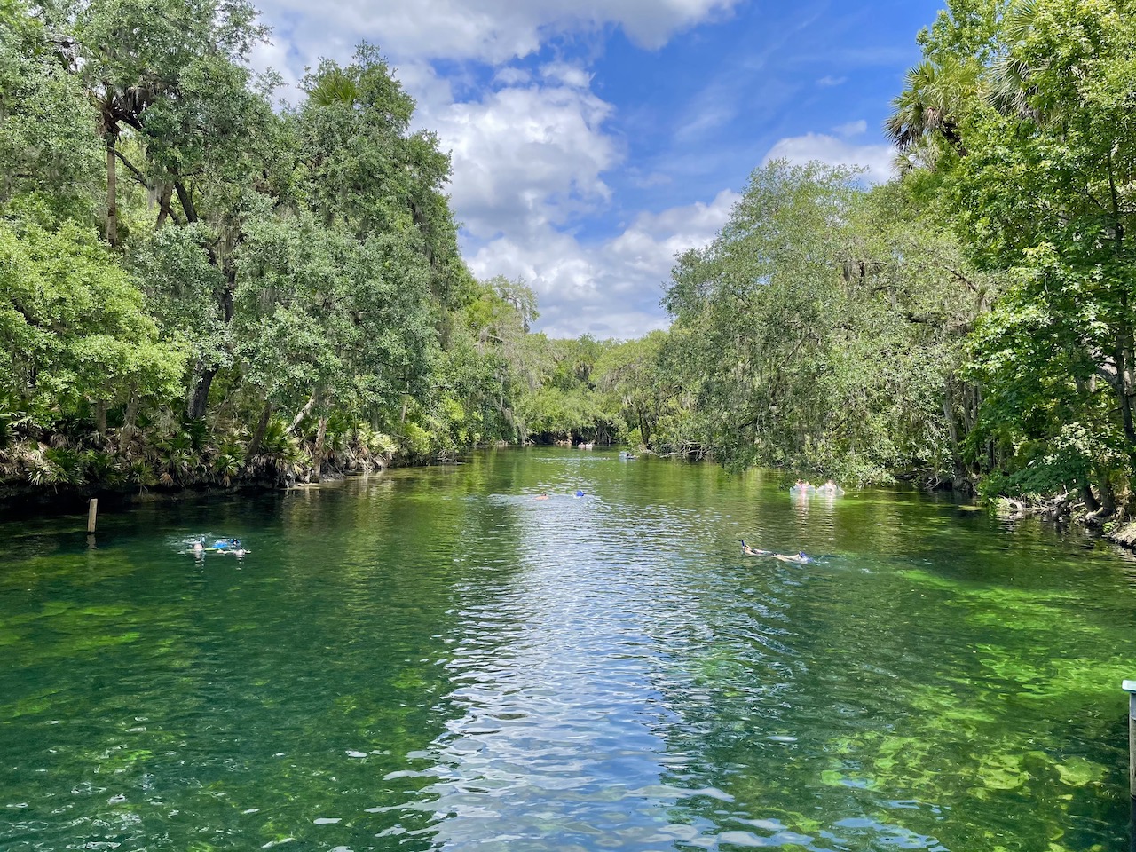 Beautiful Blue Springs State Park – All Around the Bend