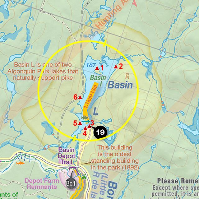 Basin Lake – All of Algonquin