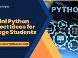 20 Best Mini Python Project Ideas For College Students