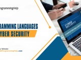 Top 10 Programming Languages For Cyber Security In 2024