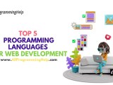 Top 5 Programming Languages For Web Development In 2024