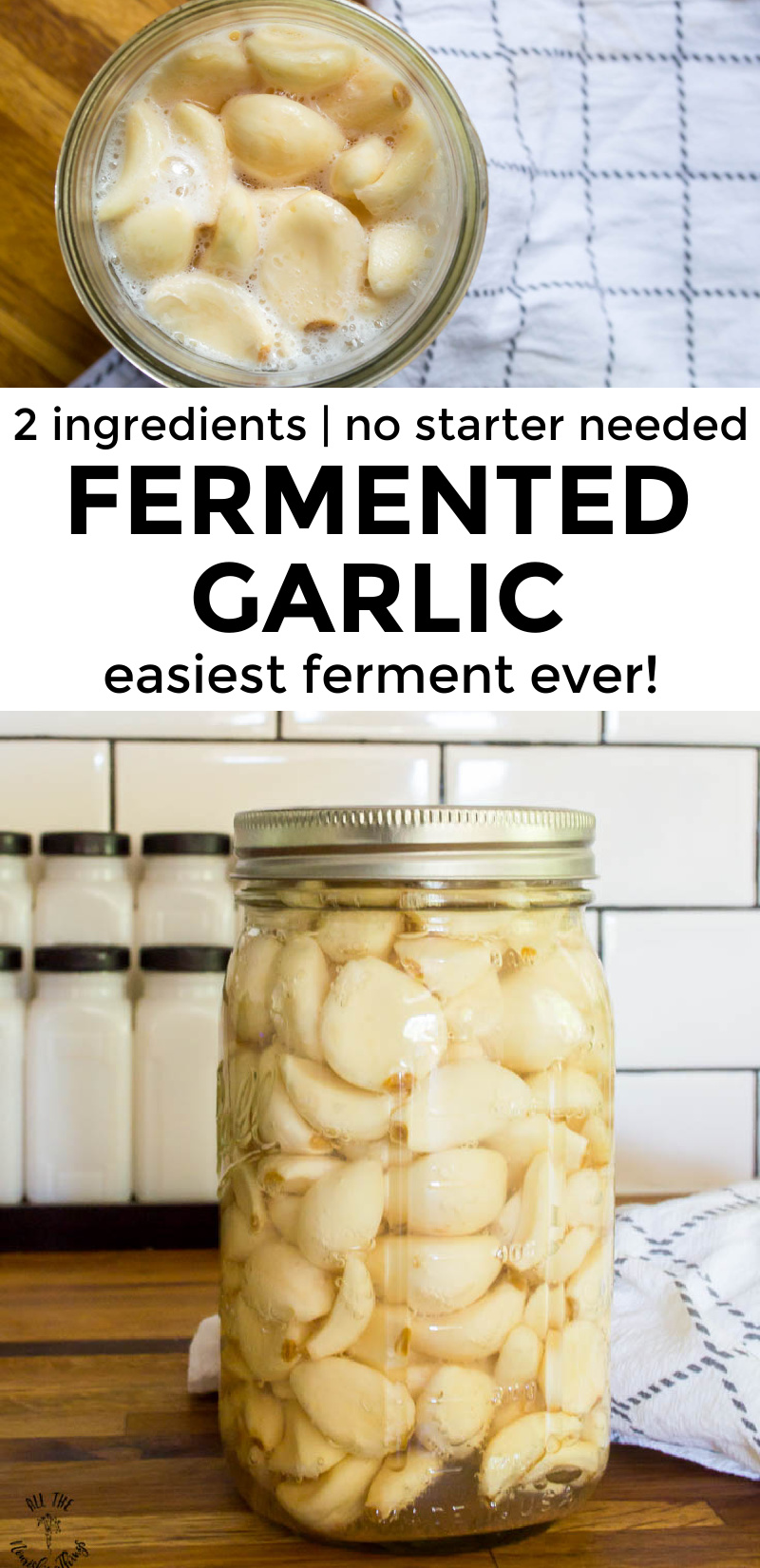 Easy Fermented Garlic — 2 Ingredients & No Starter Needed!