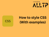 Css Styles Examples All Things Programming