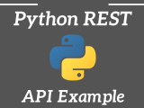 Getting To Know How To Use Restful Api In Python Aloapi