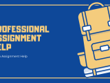 Professional Assignment Help