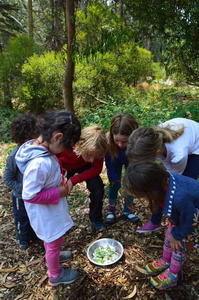 Forest School, Outdoor Preschool in San Francisco and Berkeley, CA