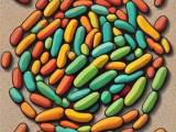 Tracing The Evolution Of Spring Beans The Evolution Of Spring Beans In