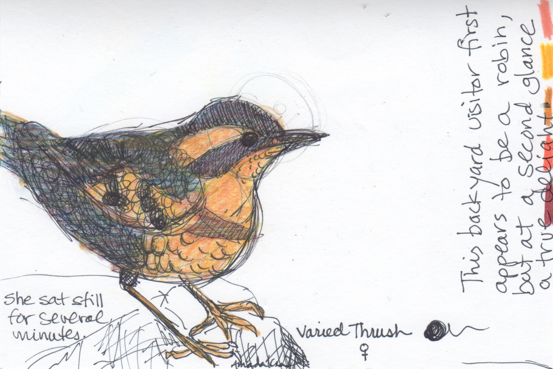 Gallery Route One Closing Salon – Amanda Krauss Art