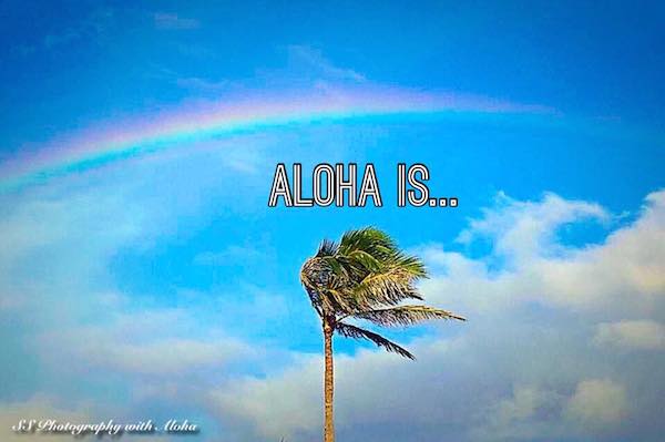Did Someone Say ALOHA? - A Maui Blog