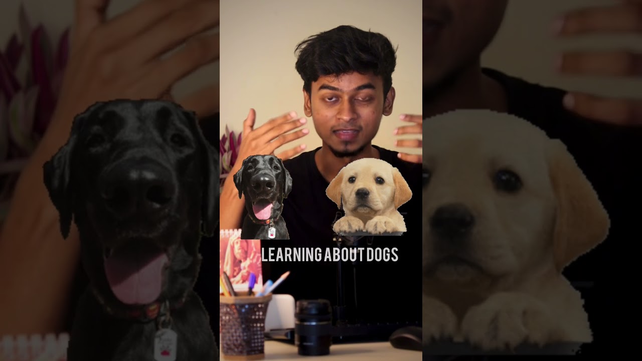 Machine Learning Explained 🔥in 30 Seconds. - Amazing eLearning