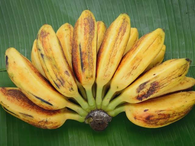 25 Different Types of Bananas And Their Characteristics (2026)
