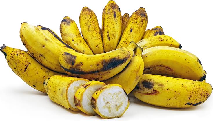 25 Different Types of Bananas And Their Characteristics (2025)