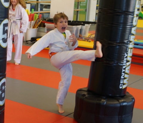 Top 8 Reasons to Start Taekwondo in Summer – Amerson's Taekwondo and ...