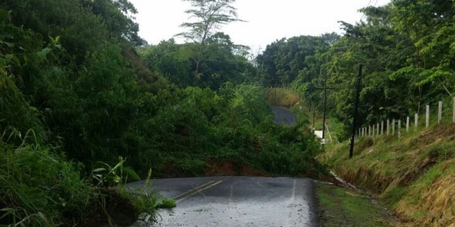 derrr | AMPrensa.com