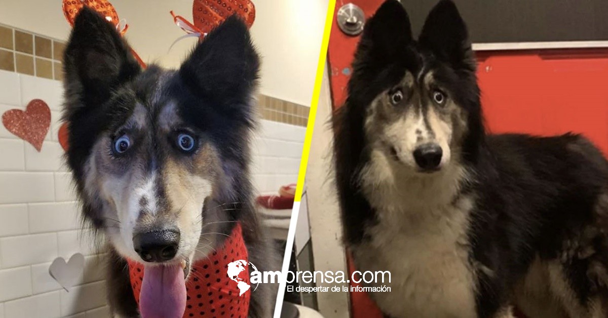 perrit | AMPrensa.com