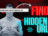 Unveiling Hidden Urls Web Enumeration With Hakrawler