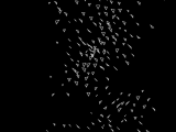 Flocking Simulation Using P5 Js Amrit Amar