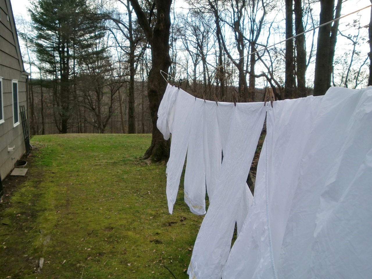 appreciating this: sweet smelling sheets - The Appreciator!