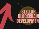 Stellar Blockchain Development Guide Anainfo
