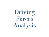 Driving Forces Analysis Analysis Without Paralysis