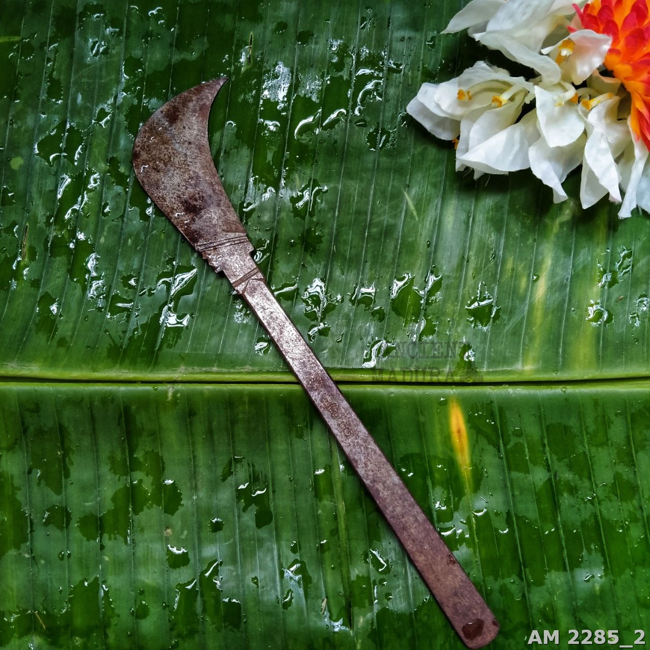 Iron Eluthuani - Ancient Madurai