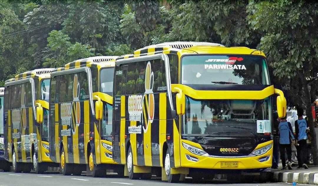 Info Fasilitas, Foto & Harga Sewa Bus BeeBuzz - Sewa Bus Jakarta