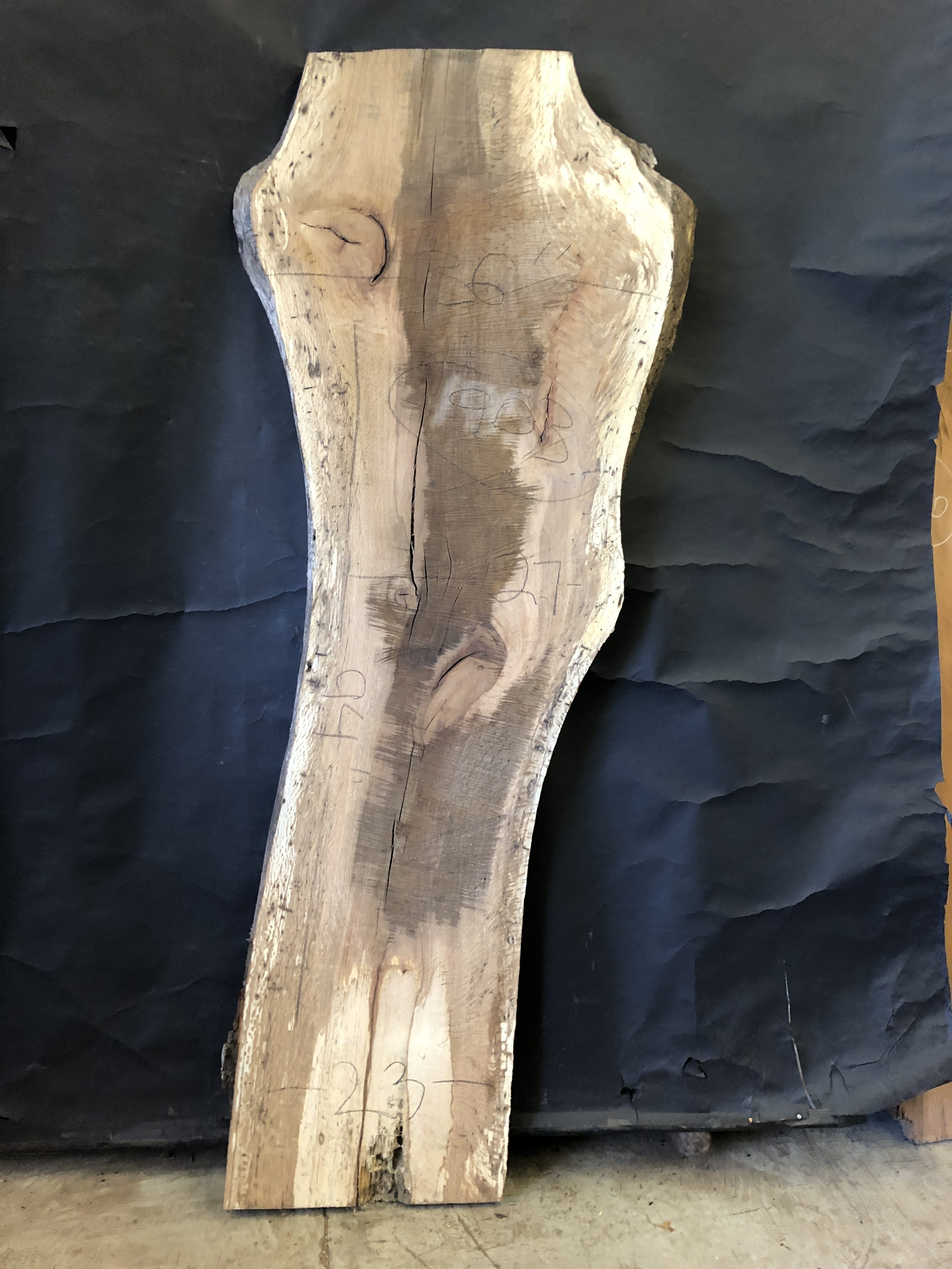 Tan Oak – Anderson's Alternatives