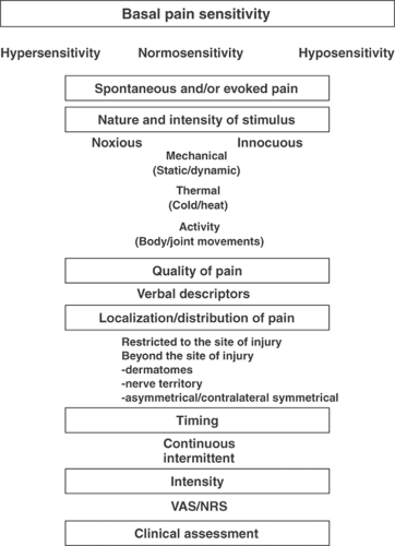 Pain Mechanisms and Their Importance in Clinical Practice and Research ...