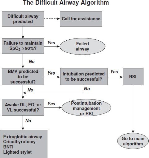 Airway Management | Anesthesia Key