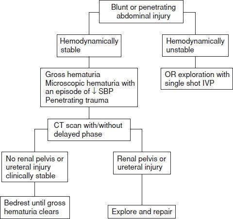 Genitourinary Trauma | Anesthesia Key