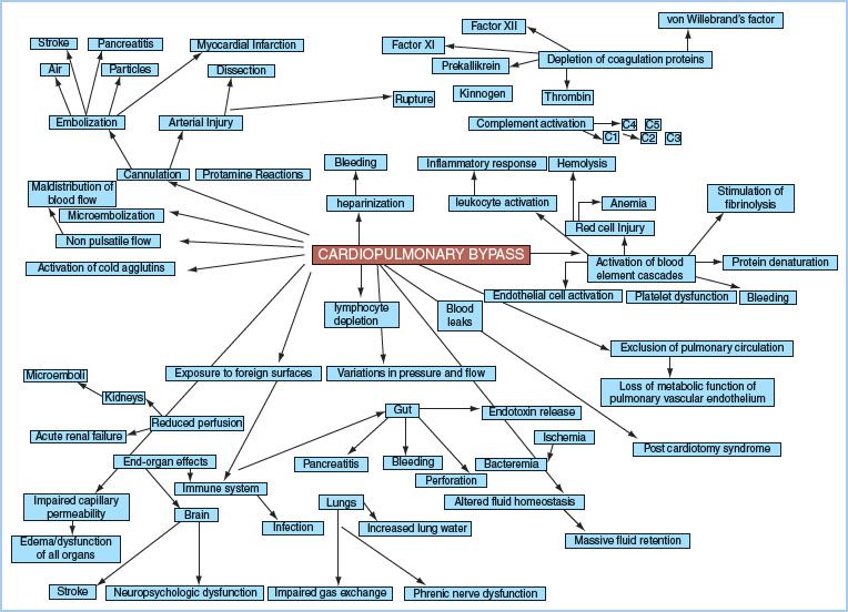 Cardiopulmonary Bypass: Equipment, Circuits, and Pathophysiology ...