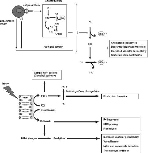 Physiologic Response to Injury | Anesthesia Key