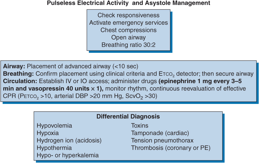 Cardiopulmonary Resuscitation | Anesthesia Key